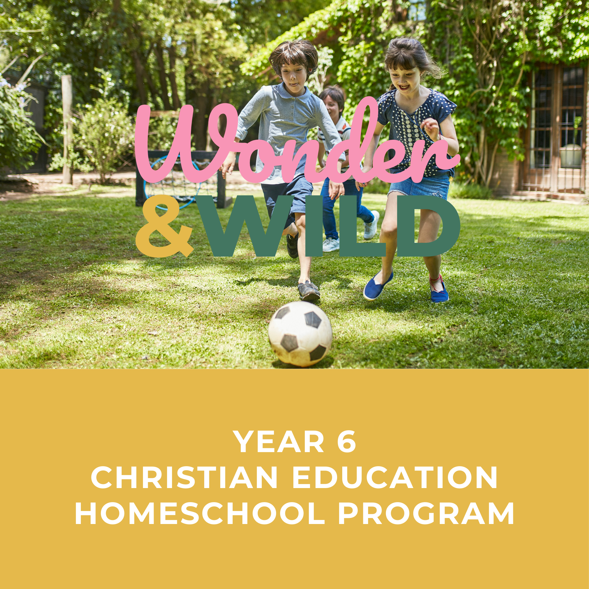 Year 6 Christian Education Program – Wonder & Wild